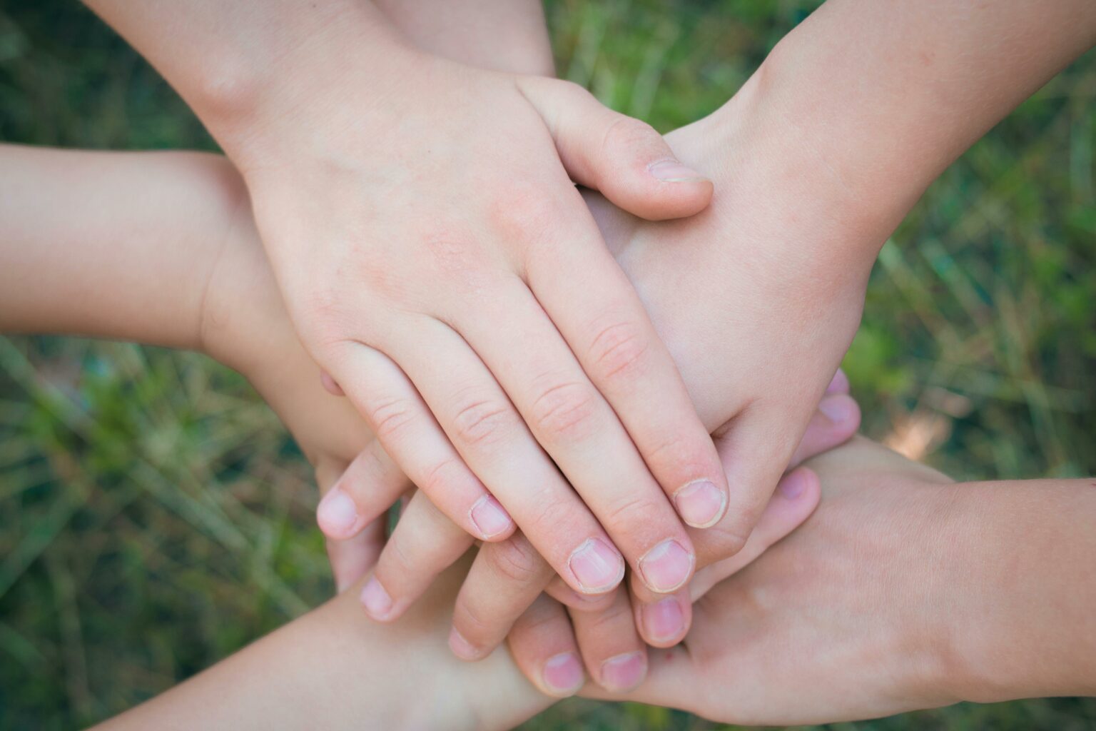 ¿Cuáles son los niveles de participación ciudadana? - FEMP